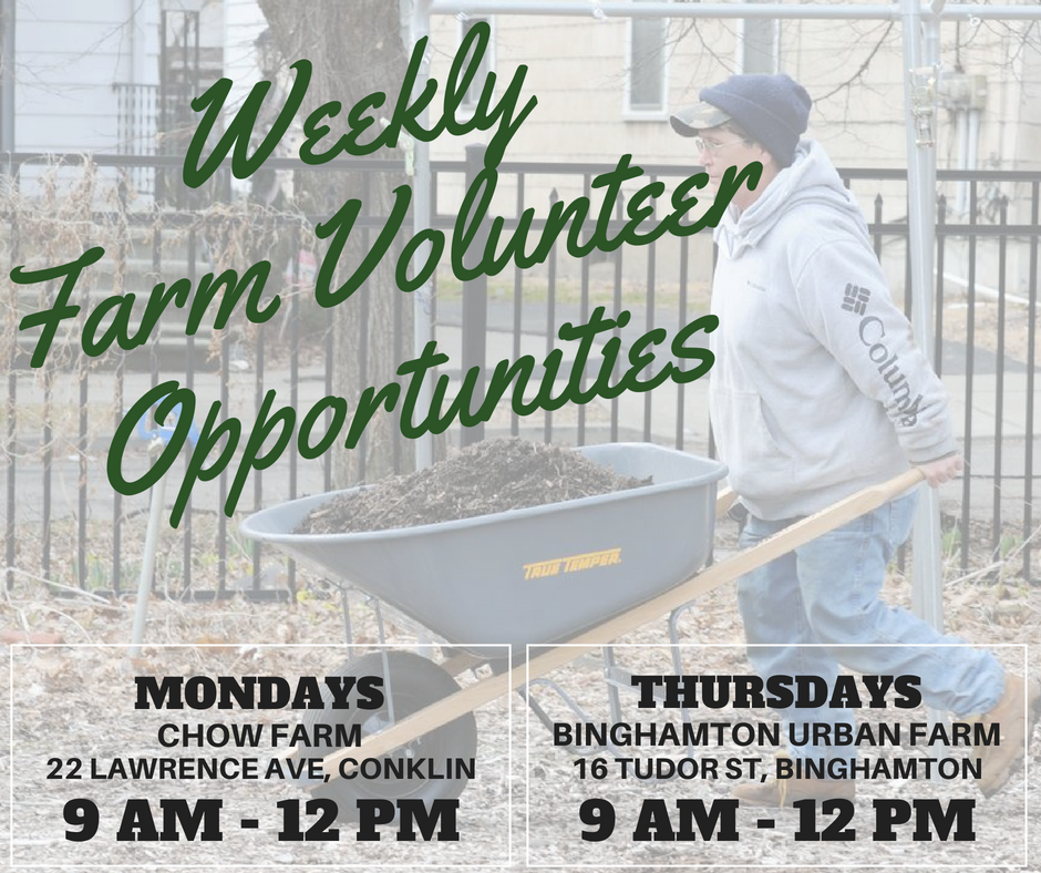 Weekly Farm Volunteer Opportunities 627 – VINES