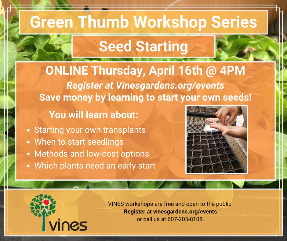 ONLINE- Seed Starting Workshop – VINES