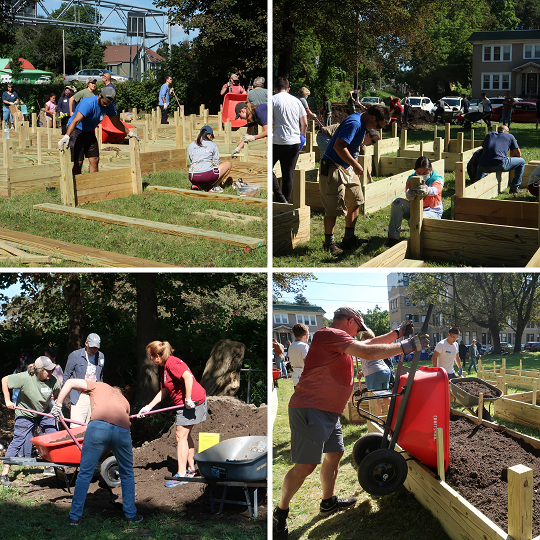 Community Gardens: A dream come true! – VINES