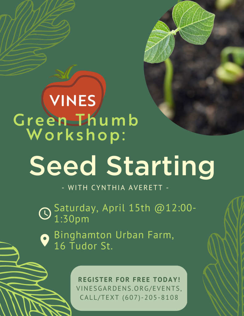Starting Seeds – VINES