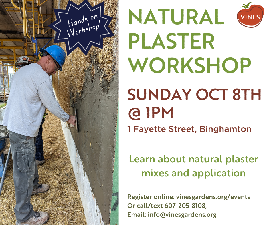 Natural Plaster Workshop – VINES