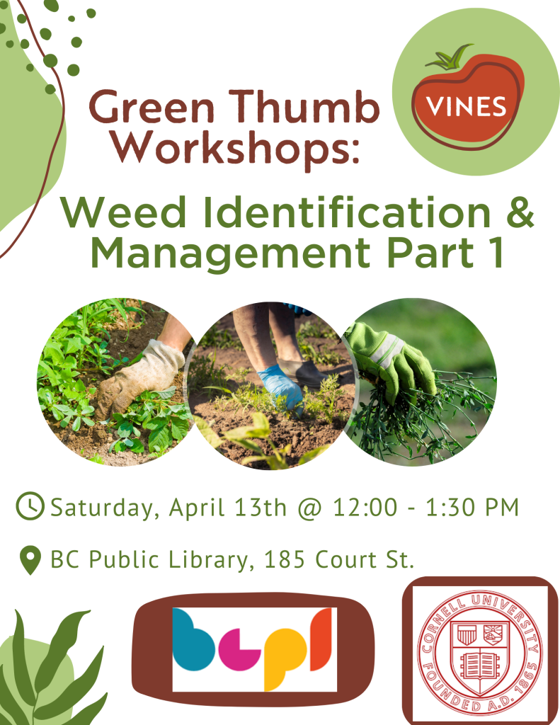 4/13/2024 Weed Identification and Management Pt. 1 with Aleah Butler ...