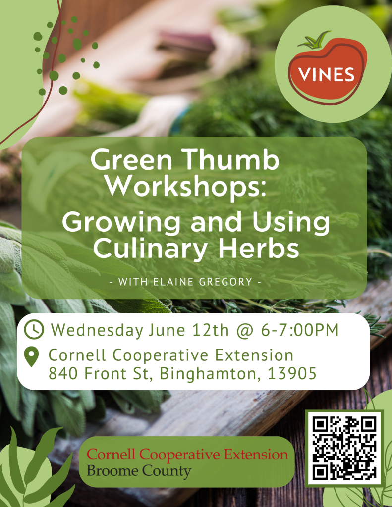 Growing and Using Culinary Herbs 6/12/2024 with Elaine Gregory – VINES