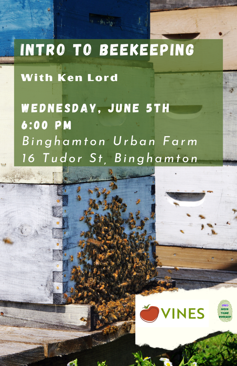 Upcoming Events – VINES