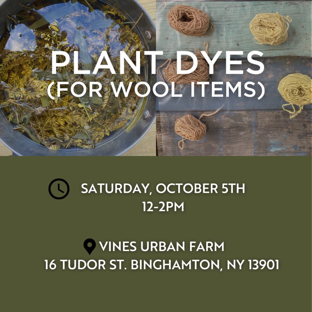 Plant Dyes (for wool items) with Marion Irwin – VINES