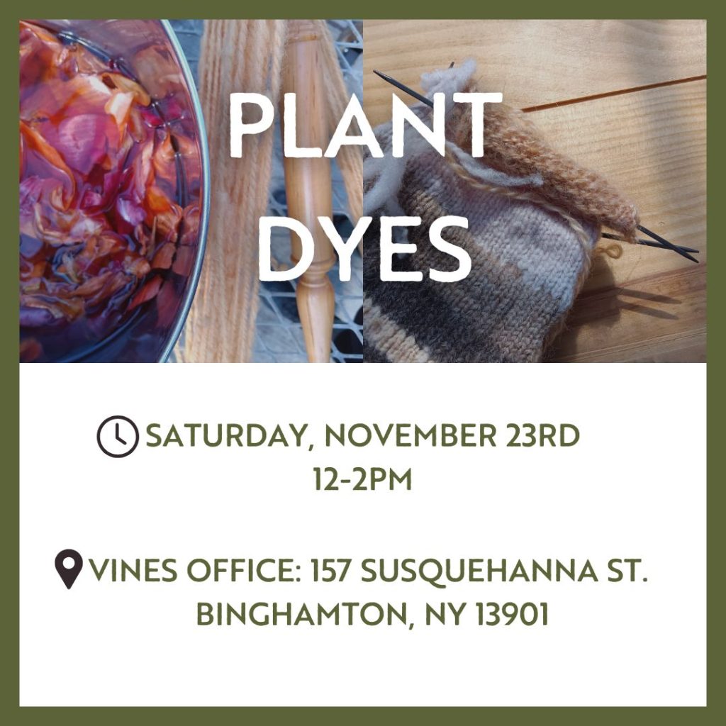 Plant Dyes with Marion Irwin – VINES